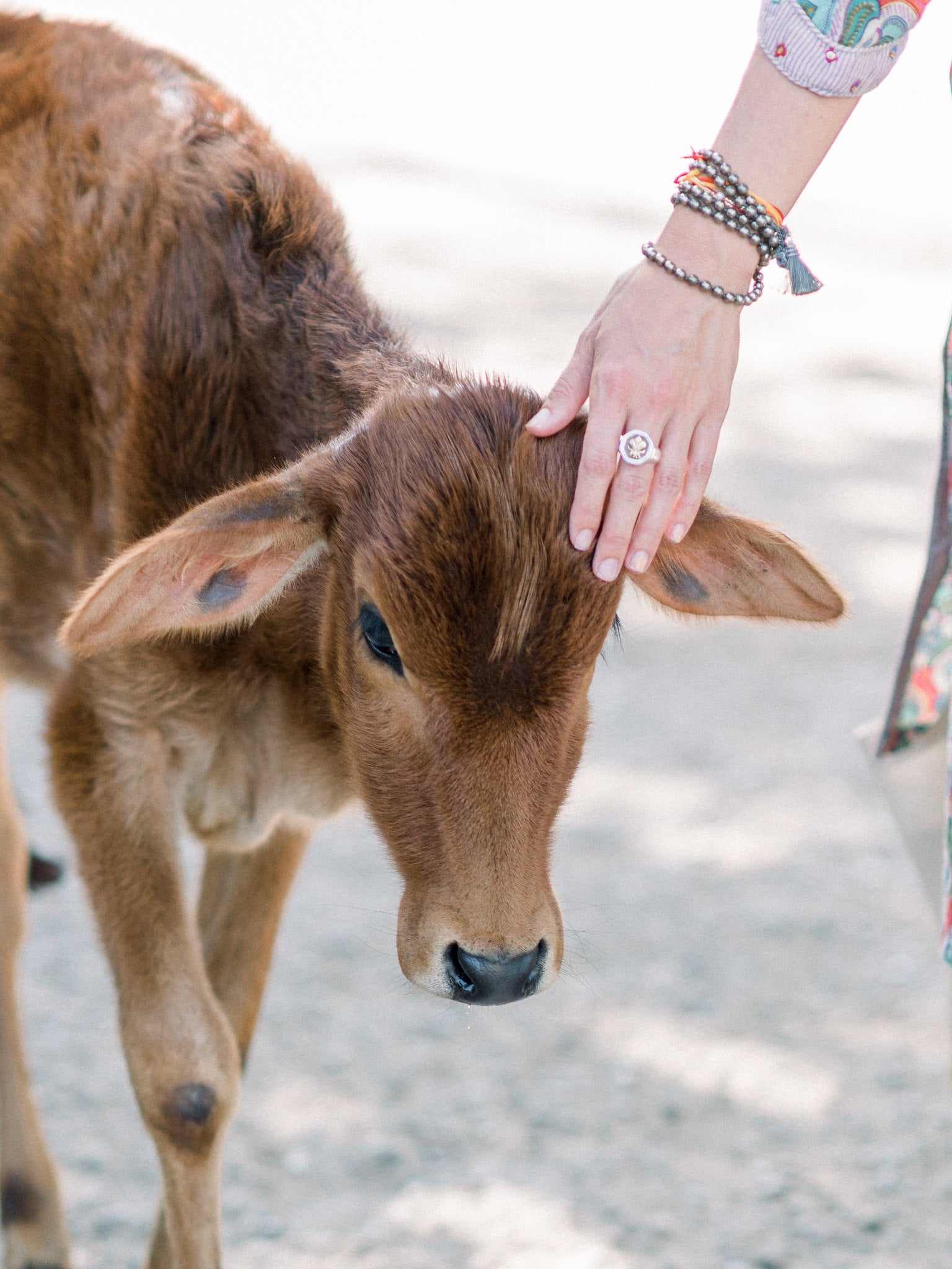 Celebrating Kindness, Giving and Gratitude on World Kindness Day – Mala ...